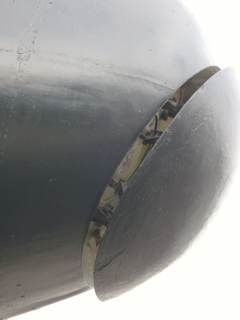 Buran Pictures